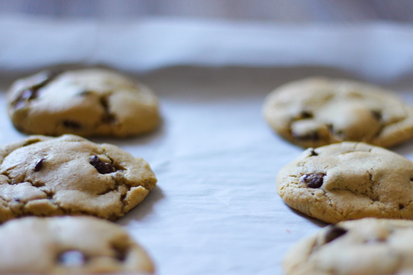 Magnolia Table Chocolate Chip Cookies