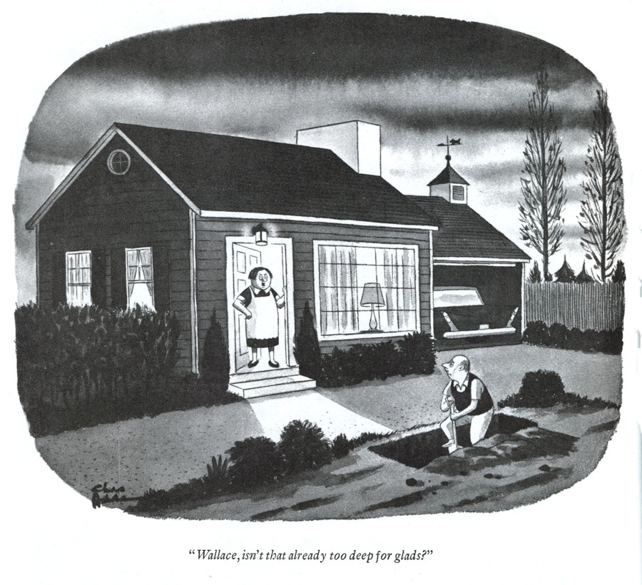 Hairy Green Eyeball 3: 20 vintage cartoons by CHAS ADDAMS