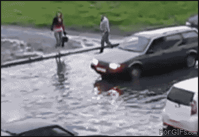 How to Have Fun in Flood (gif) | Daily Fun Pics