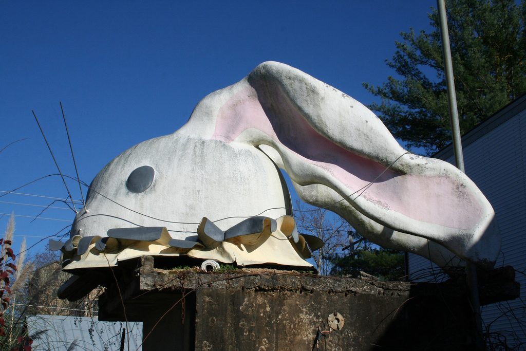 The Carpetbagger: Creepy Rabbits