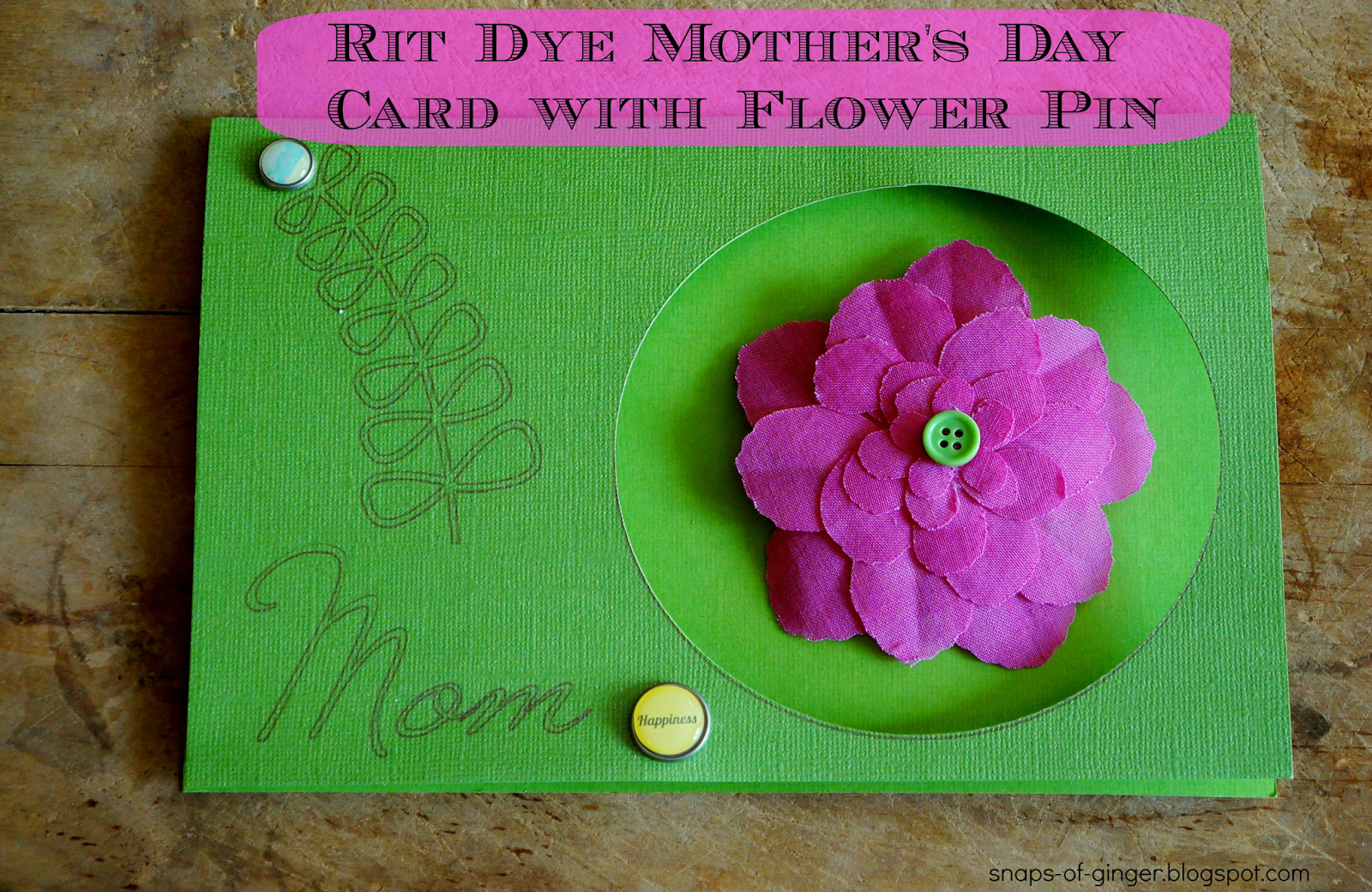 Snaps of Ginger: Rit Dye Projects