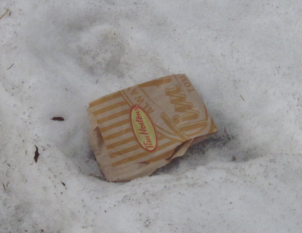 The Pigs of Tim Hortons