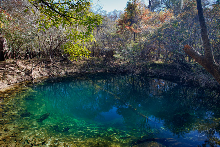 David's photo blog: Holmes Creek