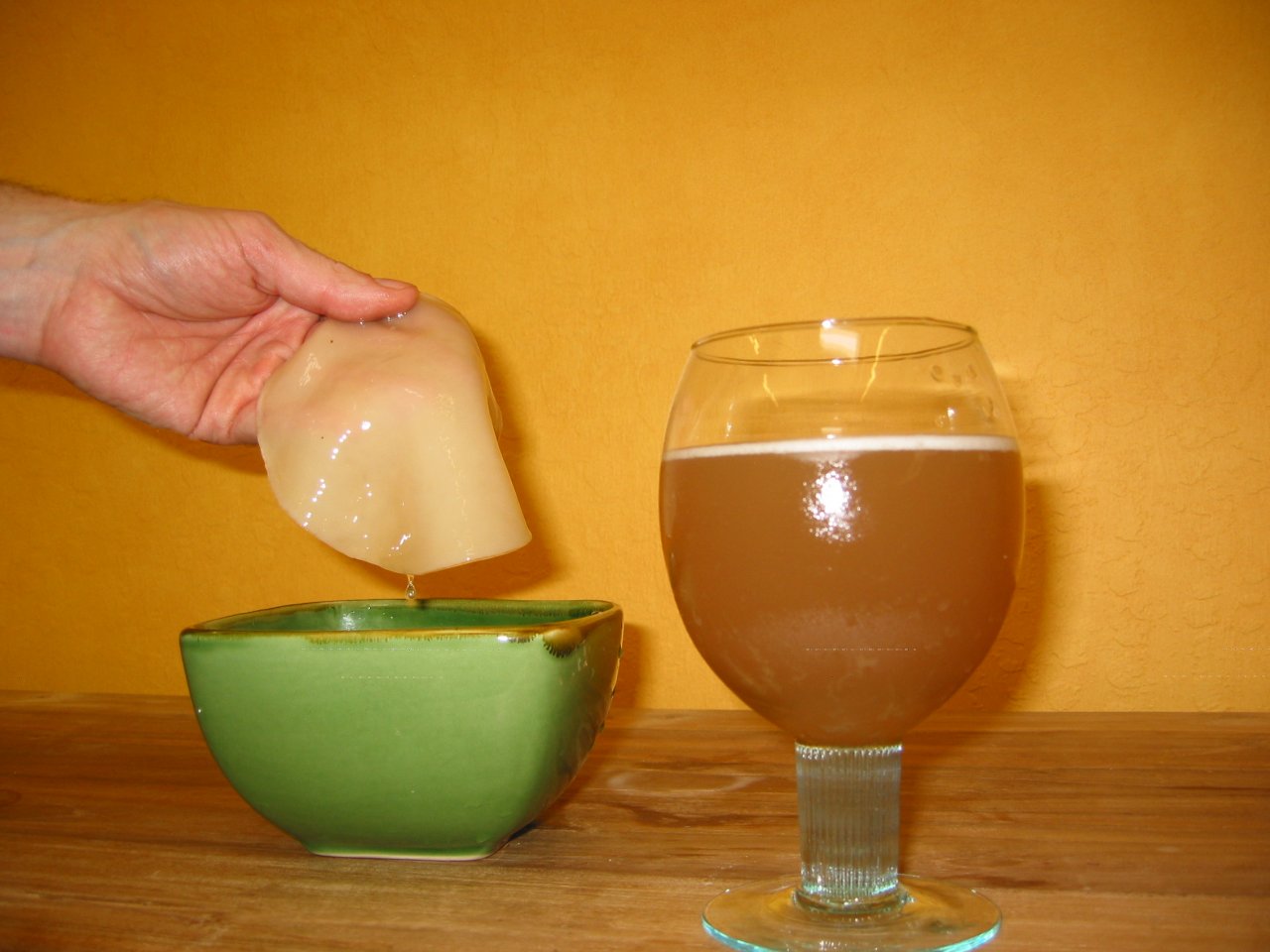 Čínska čajová huba kombucha