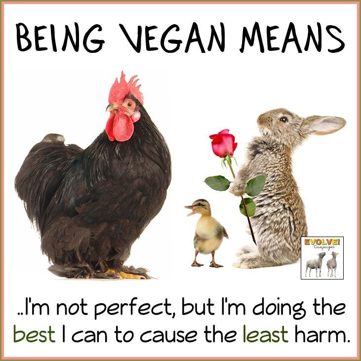 VEGANISM: A TRUTH WHOSE TIME HAS COME: 137 Vegan Advocacy Posters - Part 1