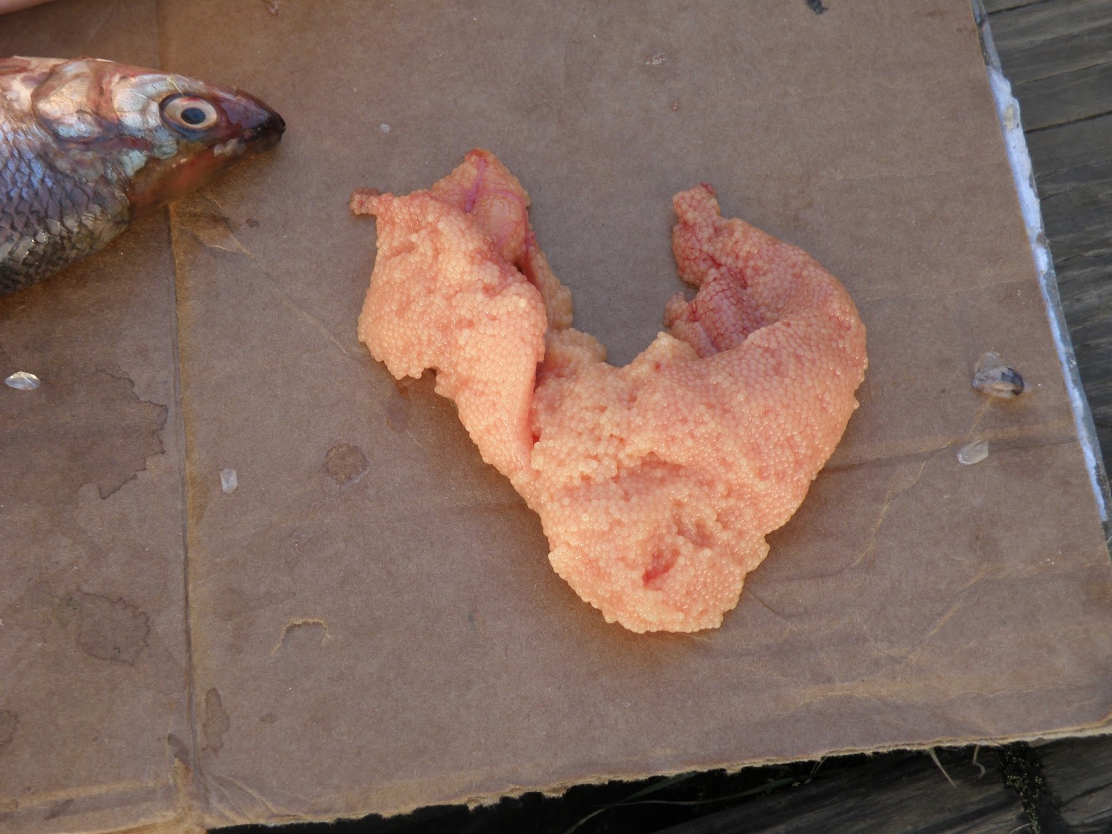 The Hall's Day-to-Day in AK: Stink Fish: A Native Food