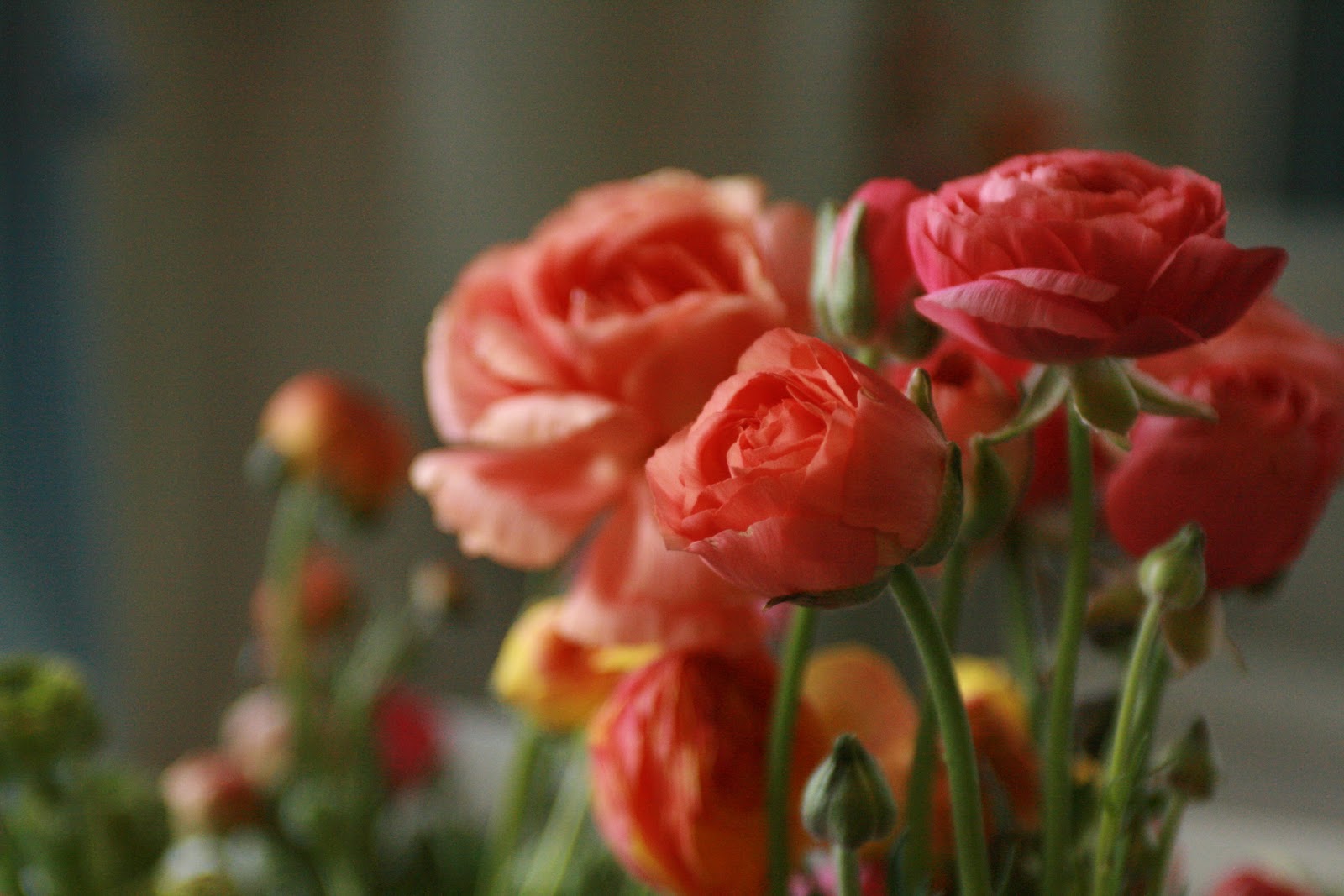 Pheew! - Floret Flowers