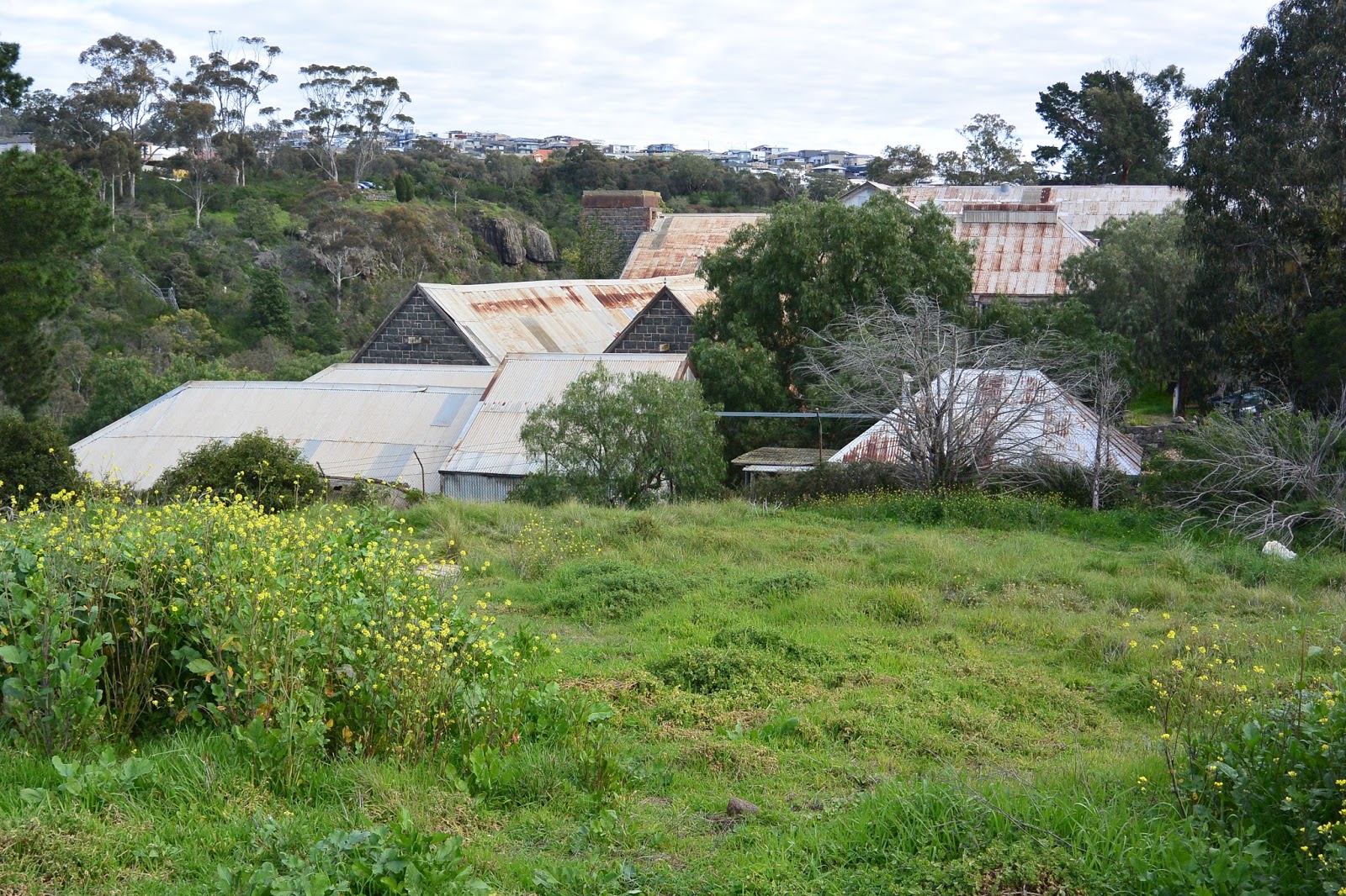 Barwon Blog: Button hill: the women of the Barwon Paper Mill