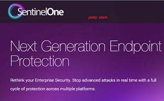 Sentinel One Ensures the Next-Gen Security - Bright Storm LJ