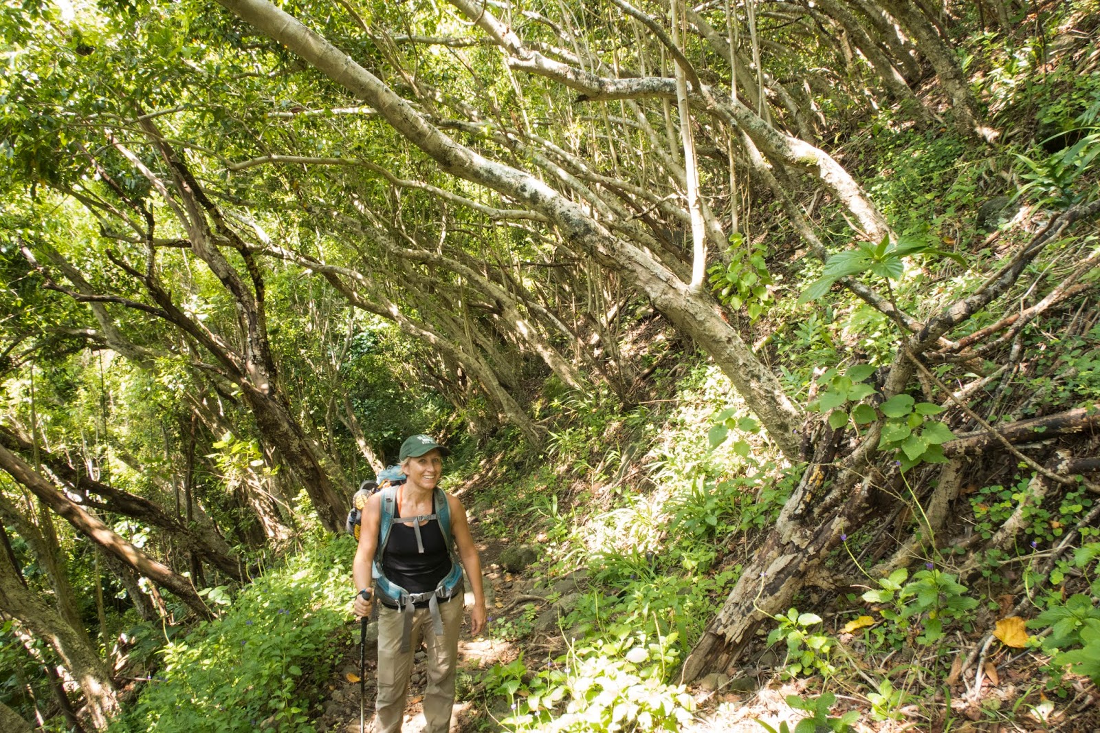 MULIWAI TRAIL TO WAIMANU VALLEY. BIG ISLAND, HAWAII - ADAM HAYDOCK