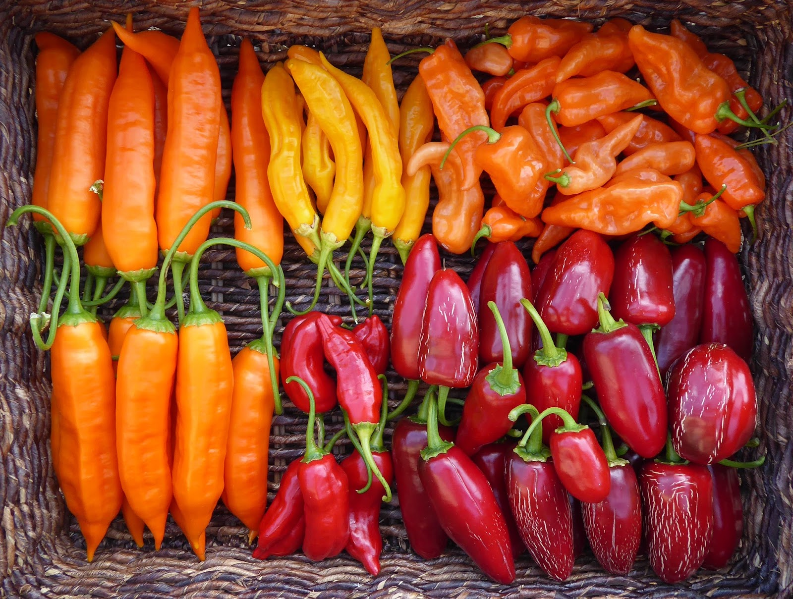 From Seed To Table: November 2017