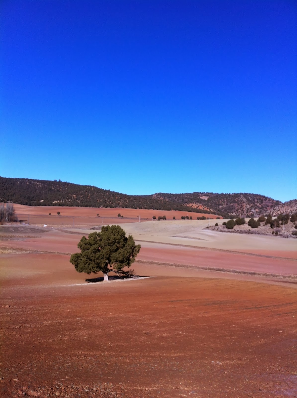 Comer y andar por la Alcarria: Tierzo y la "madina al-mallaha"