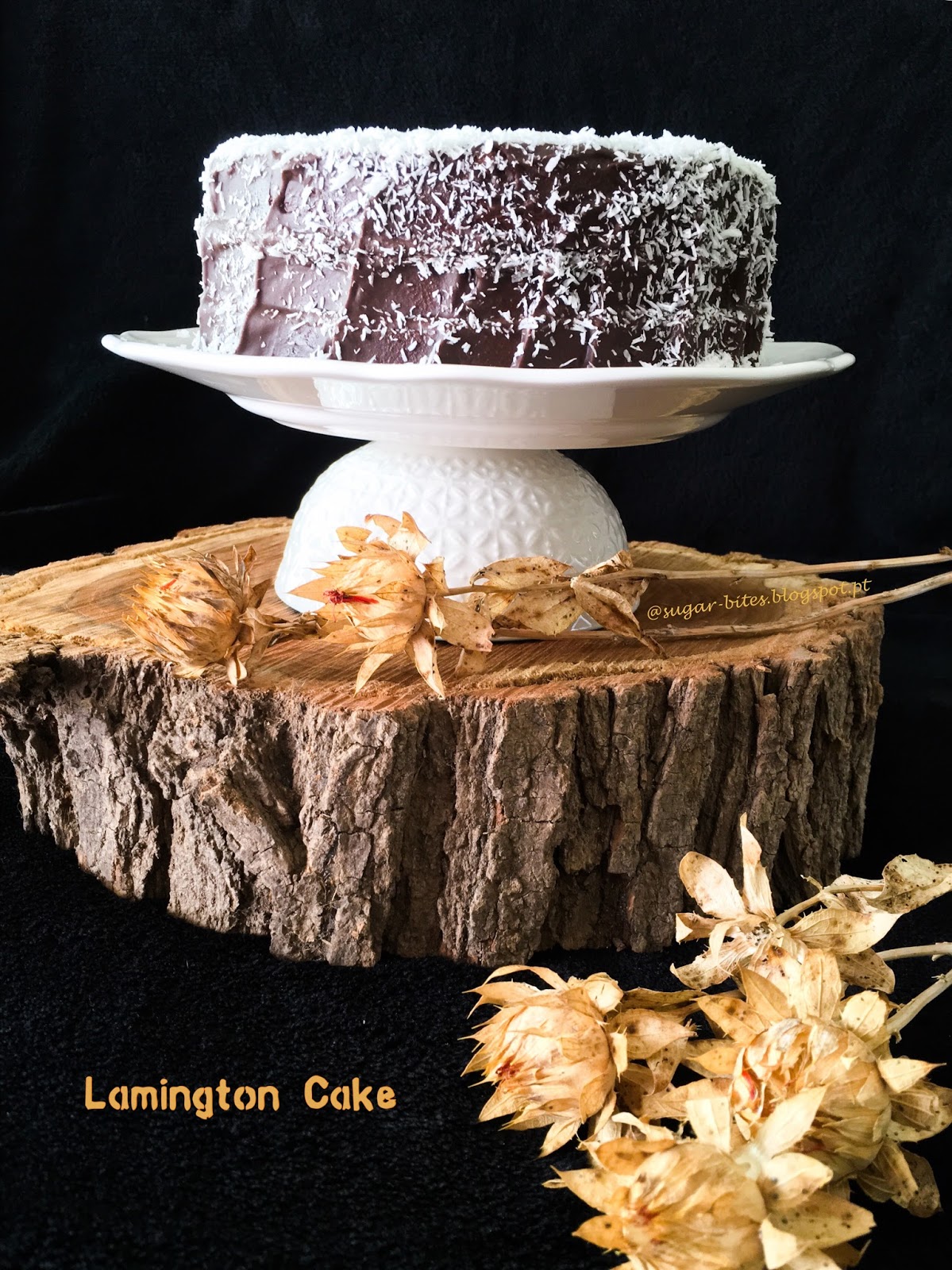 Sugar Bites: Laminton Cake de Chocolate