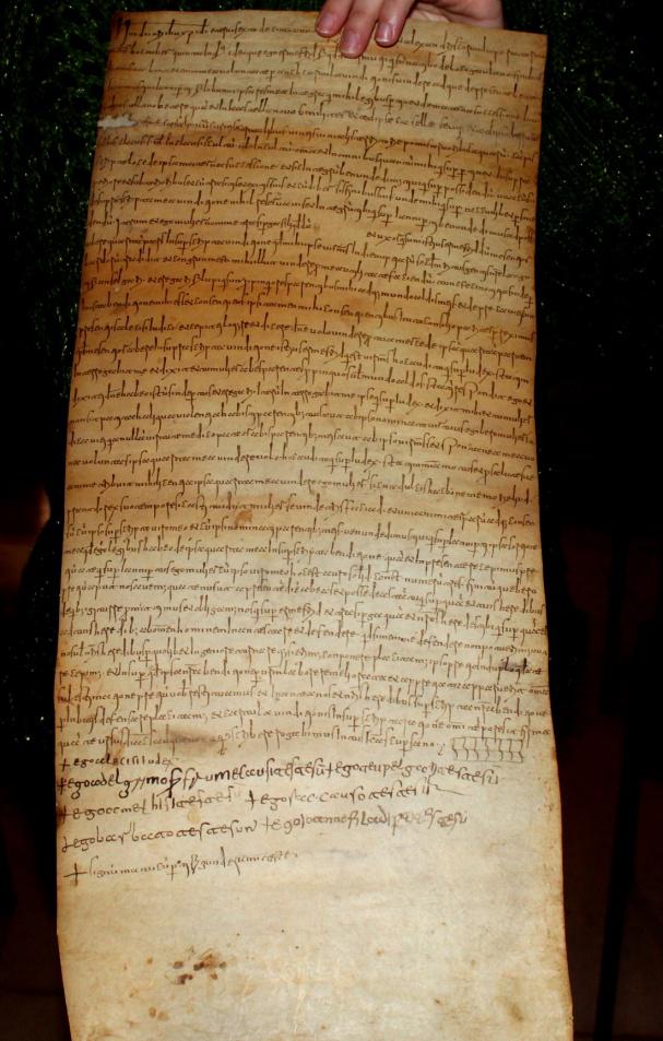 TRA PAPIRI E PERGAMENE: UN VIAGGIO NEL TEMPO.