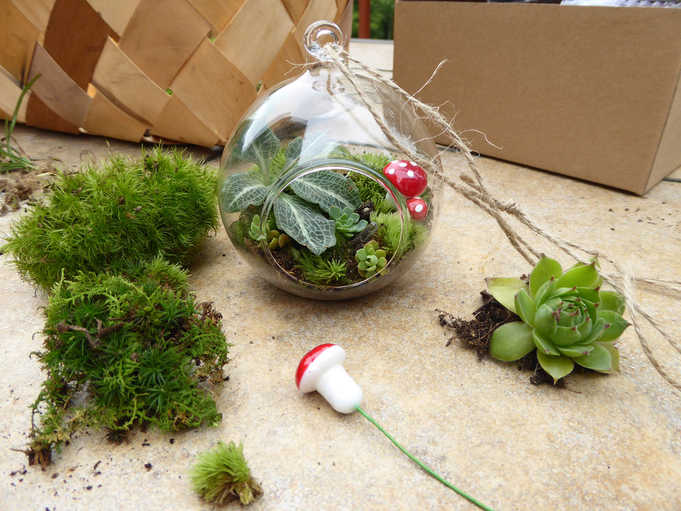 Simply Enchanted Life: Mini Hanging Moss Gardens