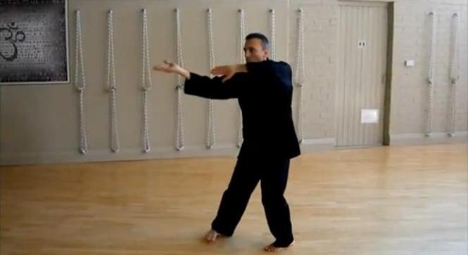 Single whip: Part 1 - defence against that first punch