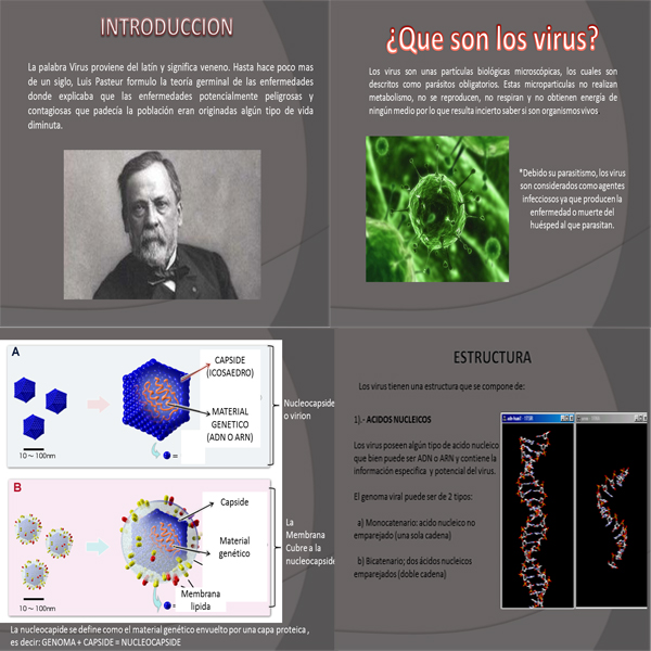 virus: Descargas