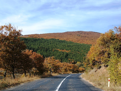 39 KIRKLARELİ: DEMİRKÖY