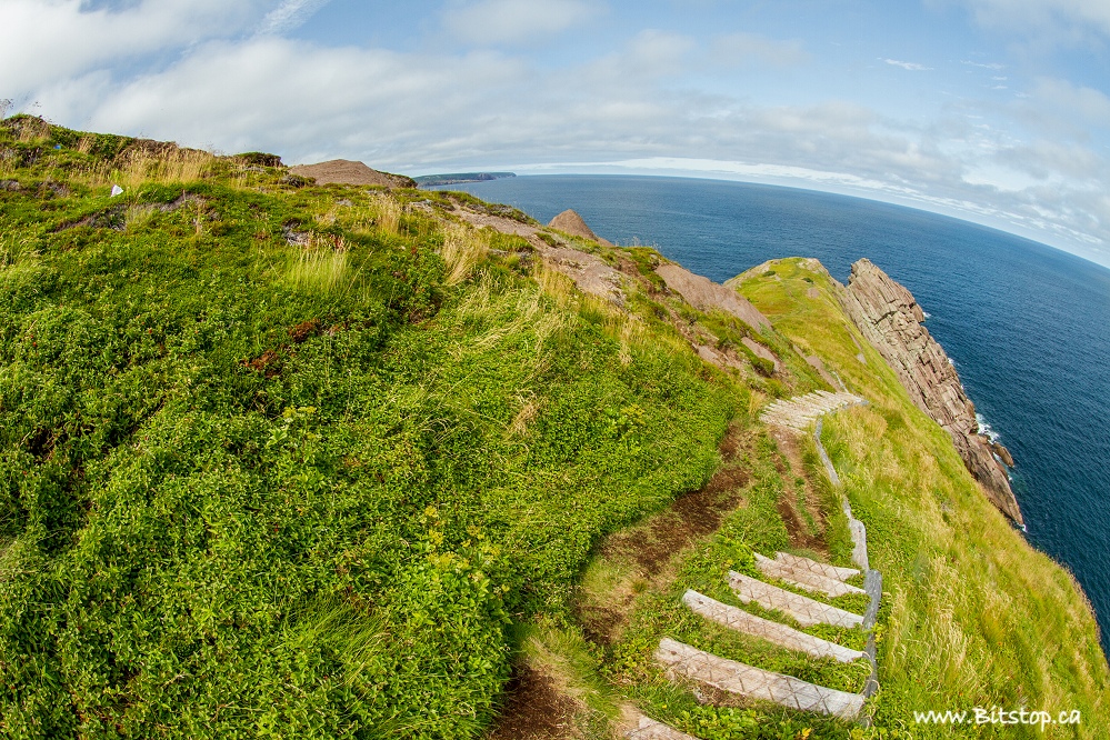 Bitstop: Torbay Point