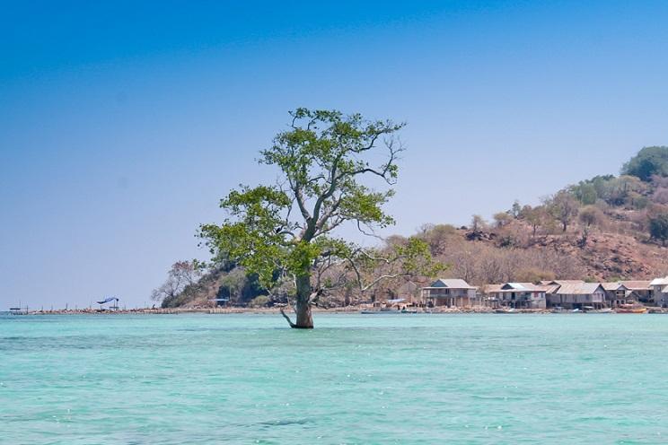 Destinasi Wisata Indonesia: Destinasi Wisata Bahari di Sikka, NTT