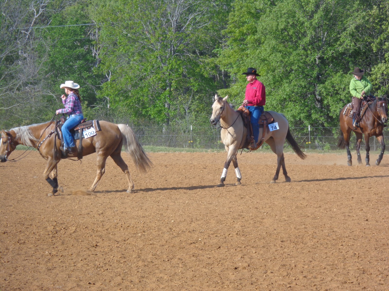 Surrey Hills Farm: April Horse Show