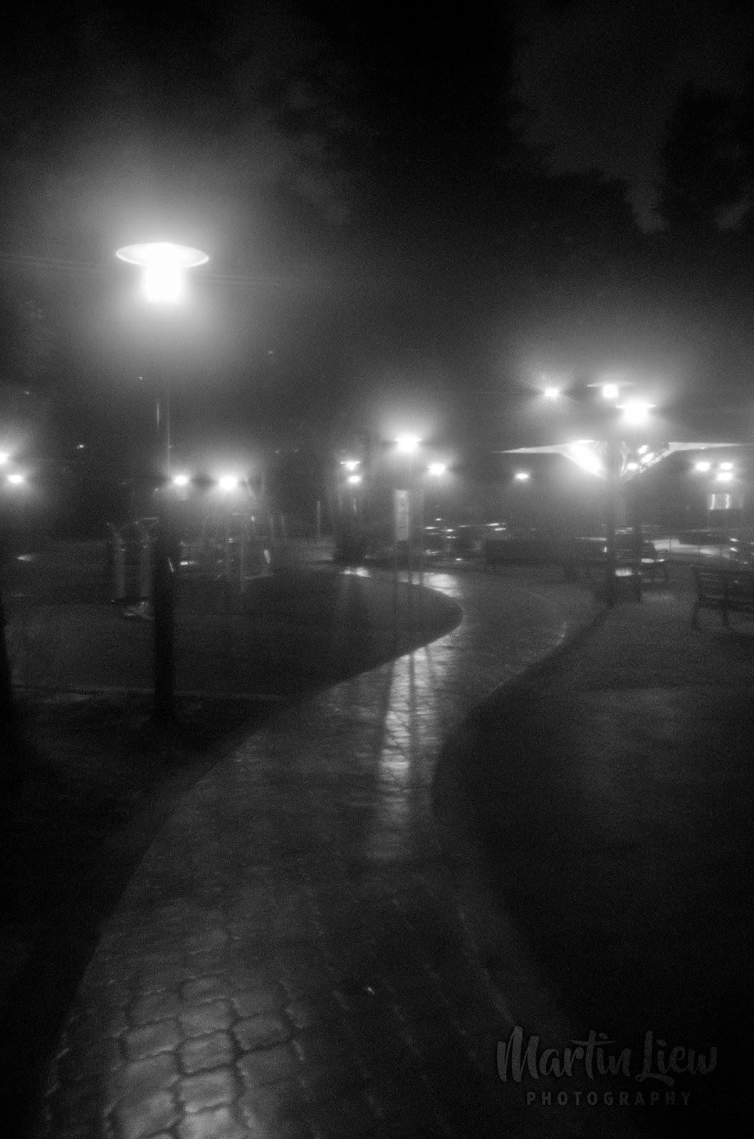 Night Photography Blog by Martin Liew: Night Street Photo – In The Park ...
