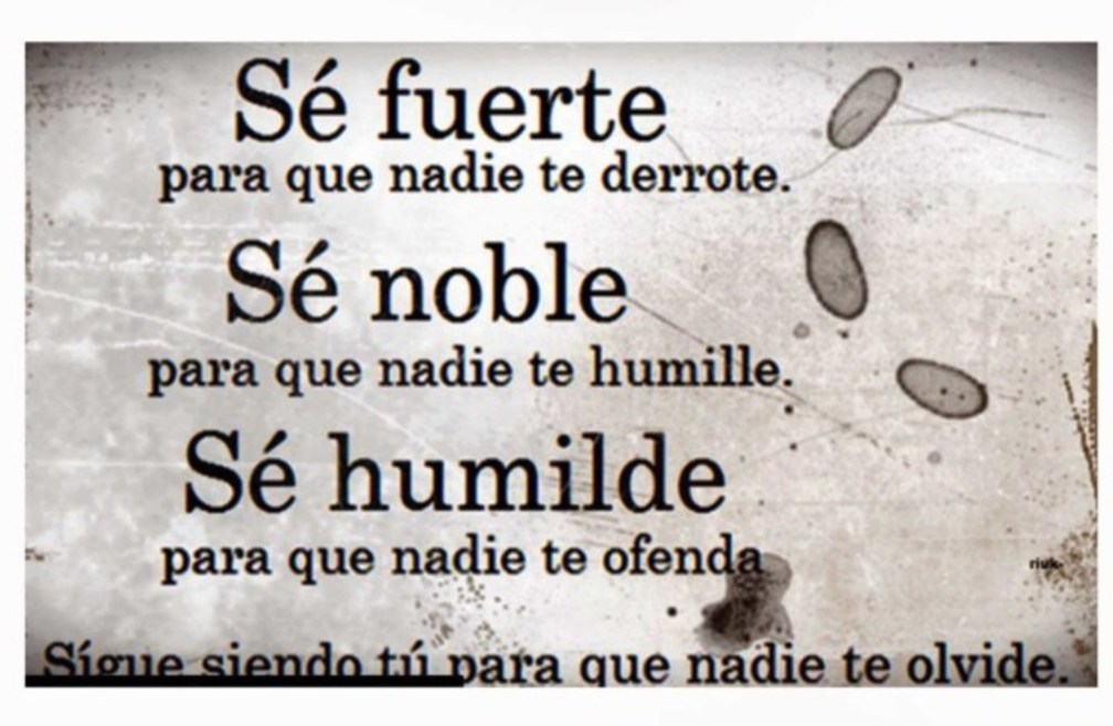 Frases De Reflexion Cortas