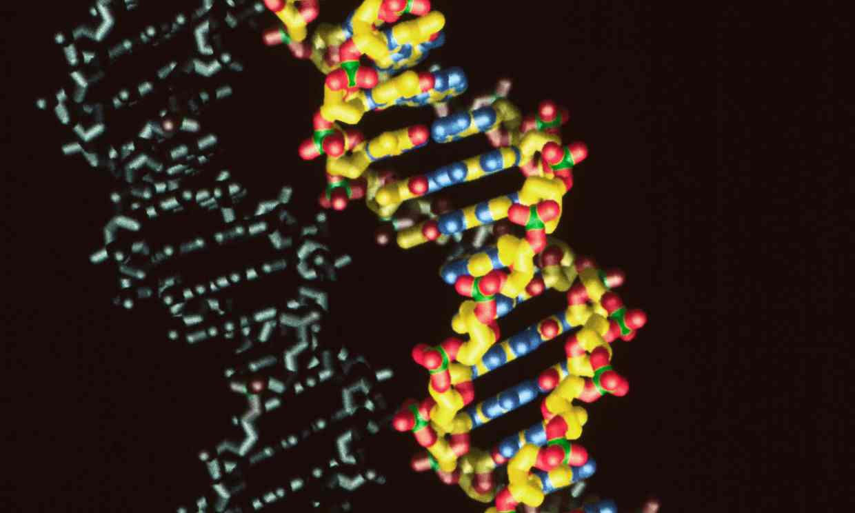 Δημιουργήθηκε οργανισμός με συνθετικό DNA, ανοίγει ο δρόμος για τελείως ...