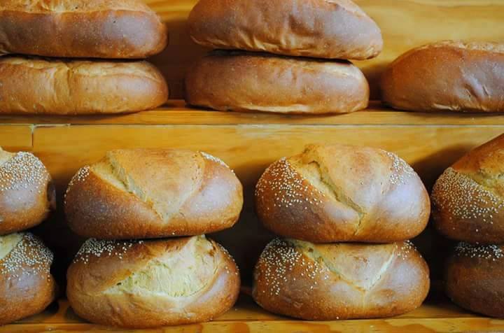 15 delicias gastronómicas de Oaxaca que debes probar (Información ...