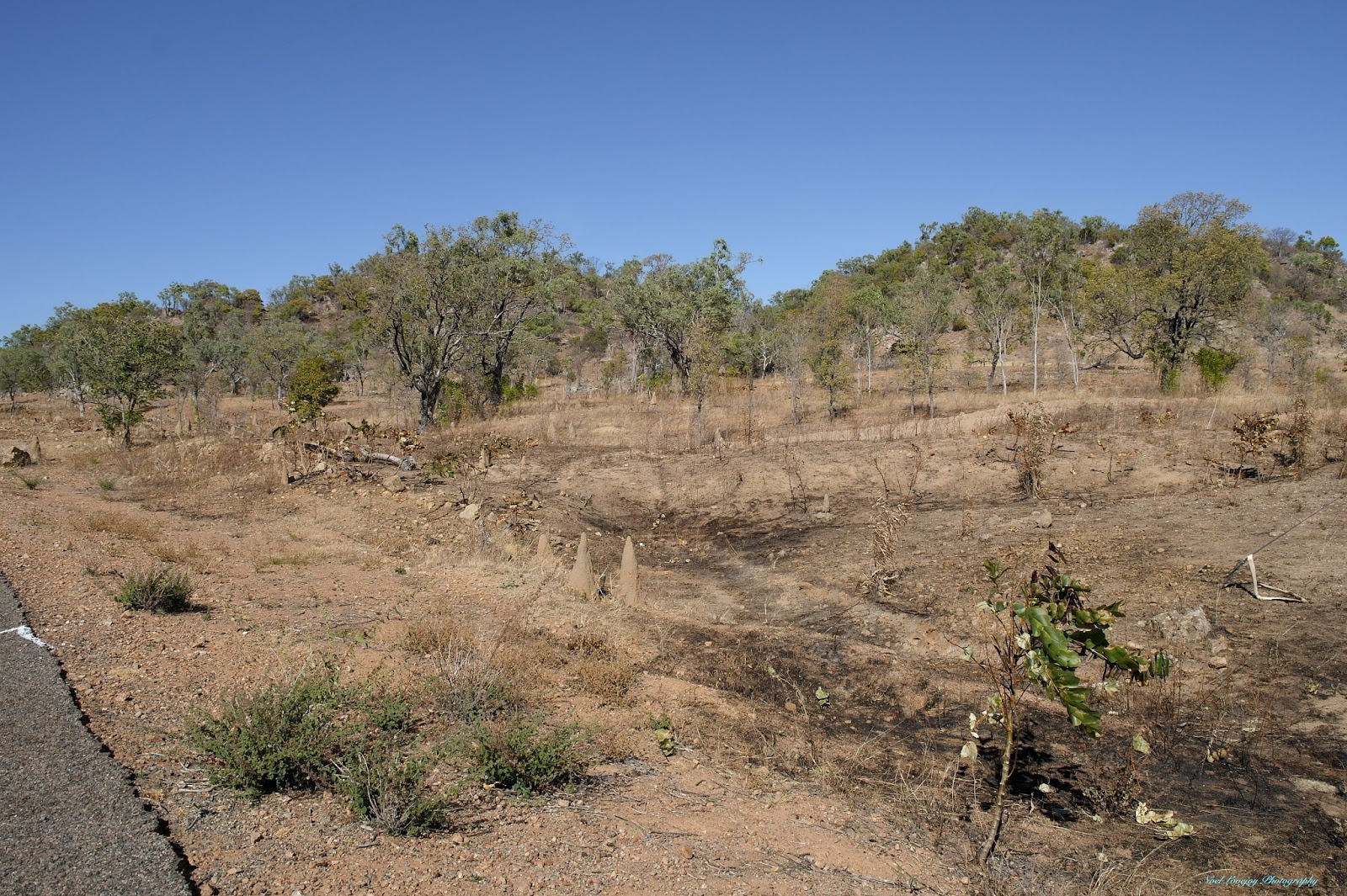 Can Go Around Australia: Forsayth