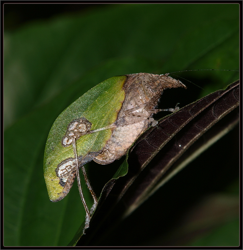 meuBIOblog: 10 de fev de 2012