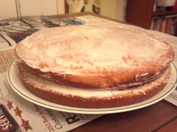 Divinebunbun's Rugged Rural Missouri: My First Layer Cake Sucks