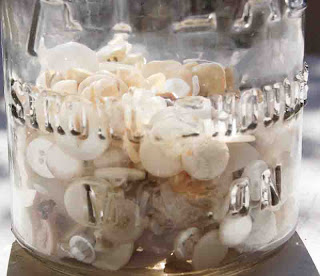 Blackbirds & Bumblebees: DIY - Vintage Shell Button Bobby Pins