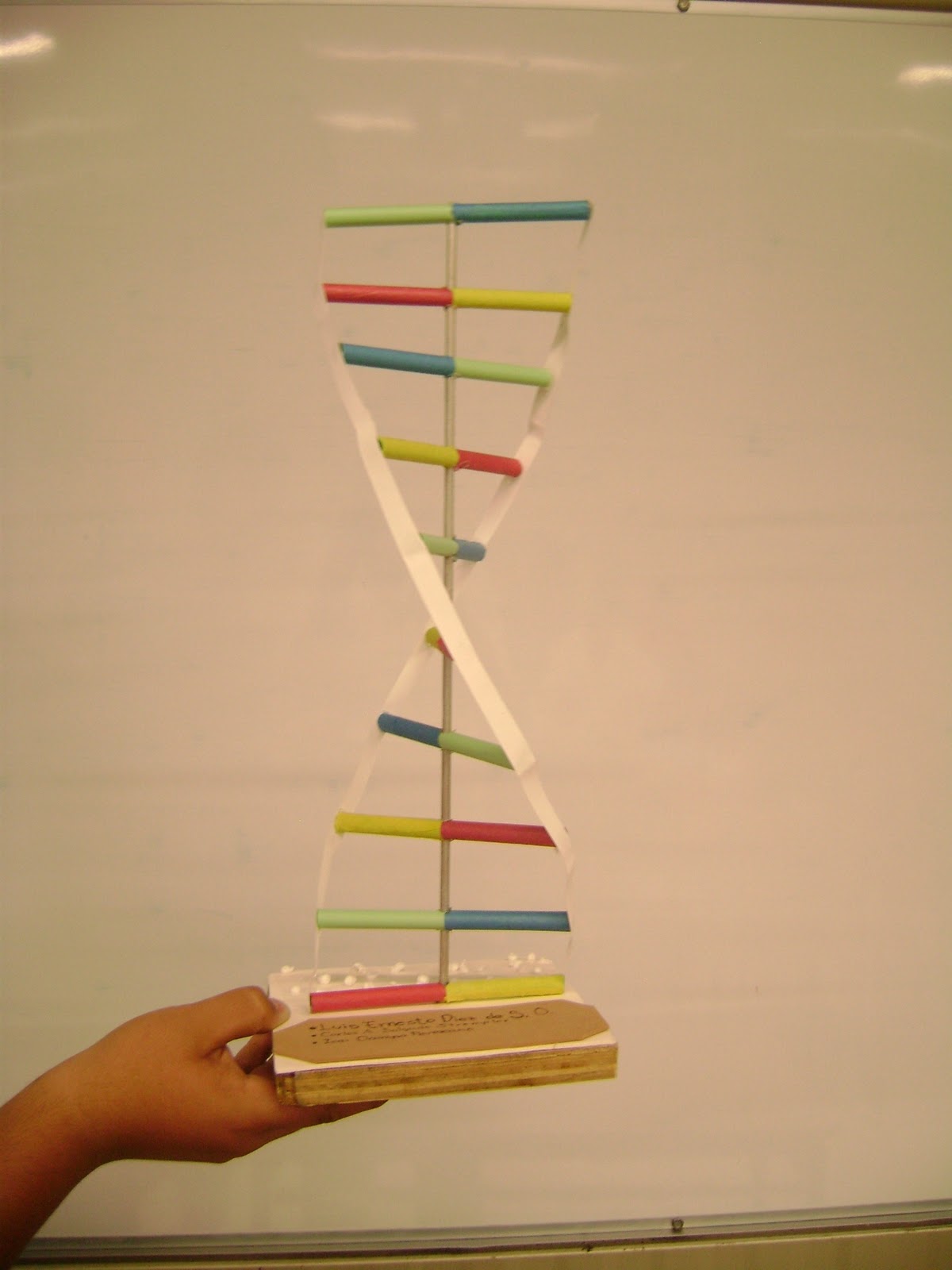Benjamín Castillo-Elías: MODELOS TRIDIMENSIONALES DE ADN