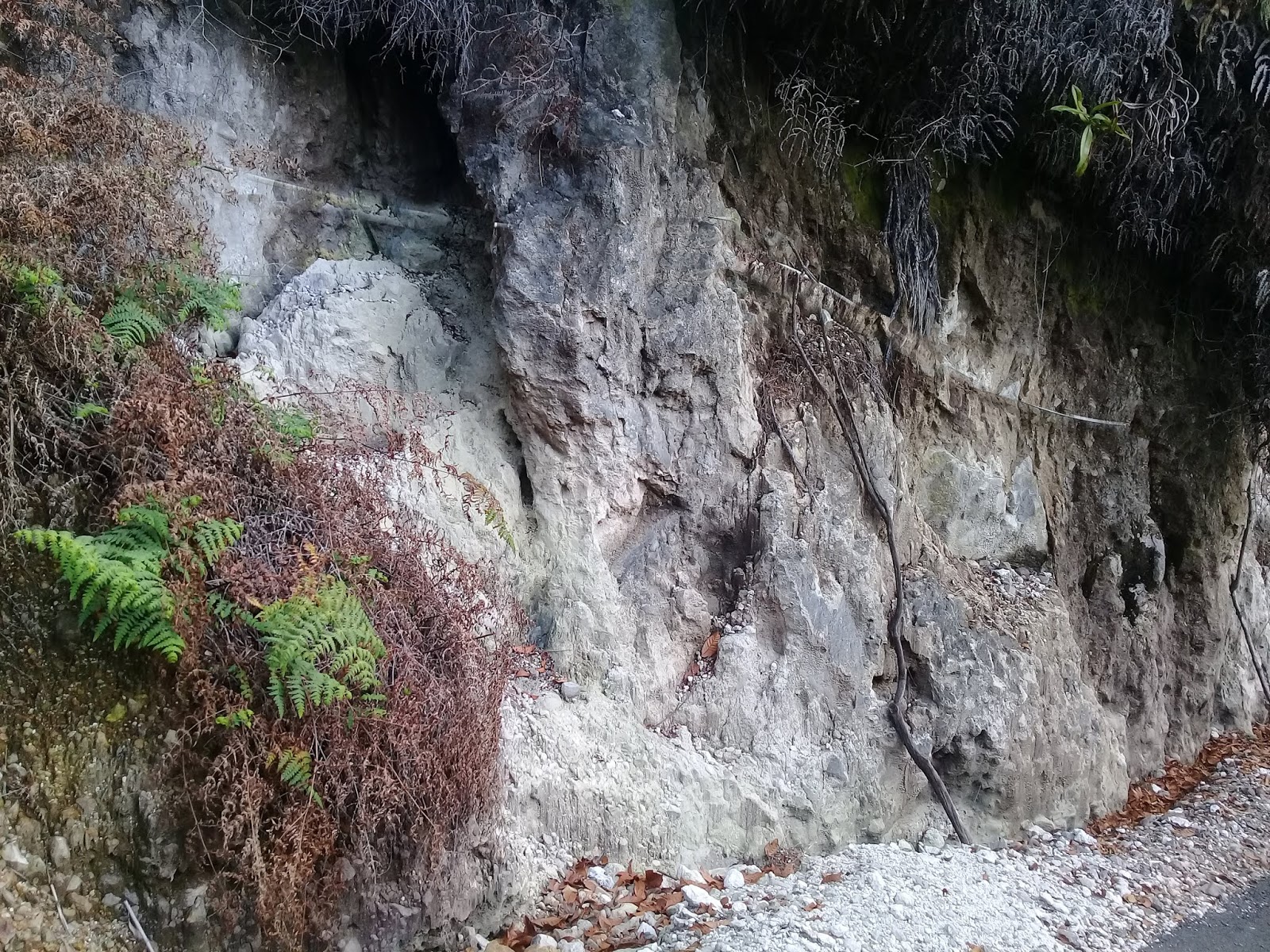 Menyusuri Jejak Post Vulkanisme Gunung Rogojembangan - North Backpacker