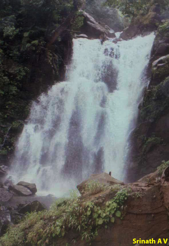 Journey to nature: Waterfalls around KaLasa-Kudremukha