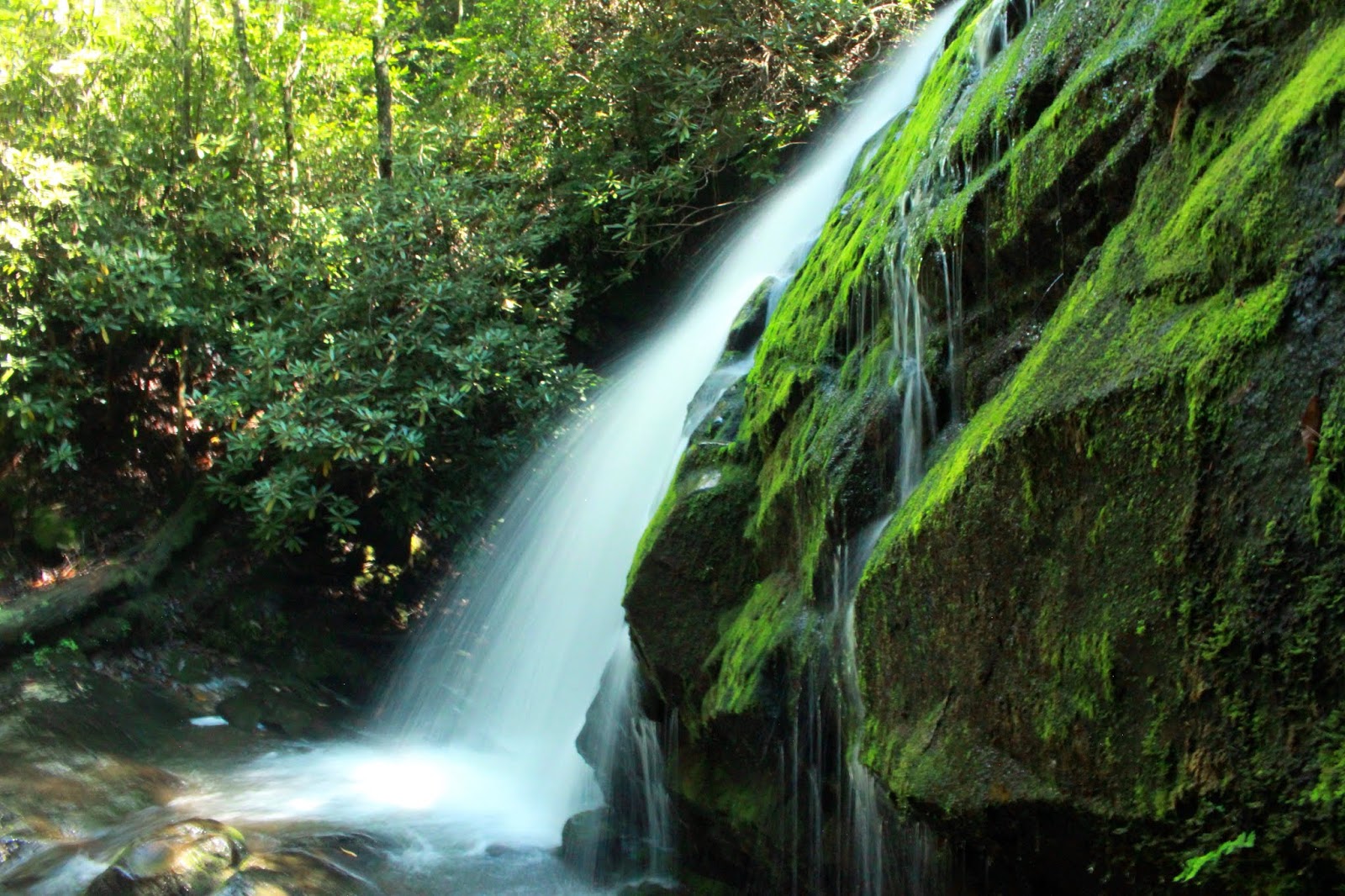 Cumberland Gal: Wading the River to See Meigs Falls Up Close