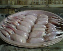 Daging Puyuh: Deskripsi & Struktur Bagian Tubuh Puyuh Jantan