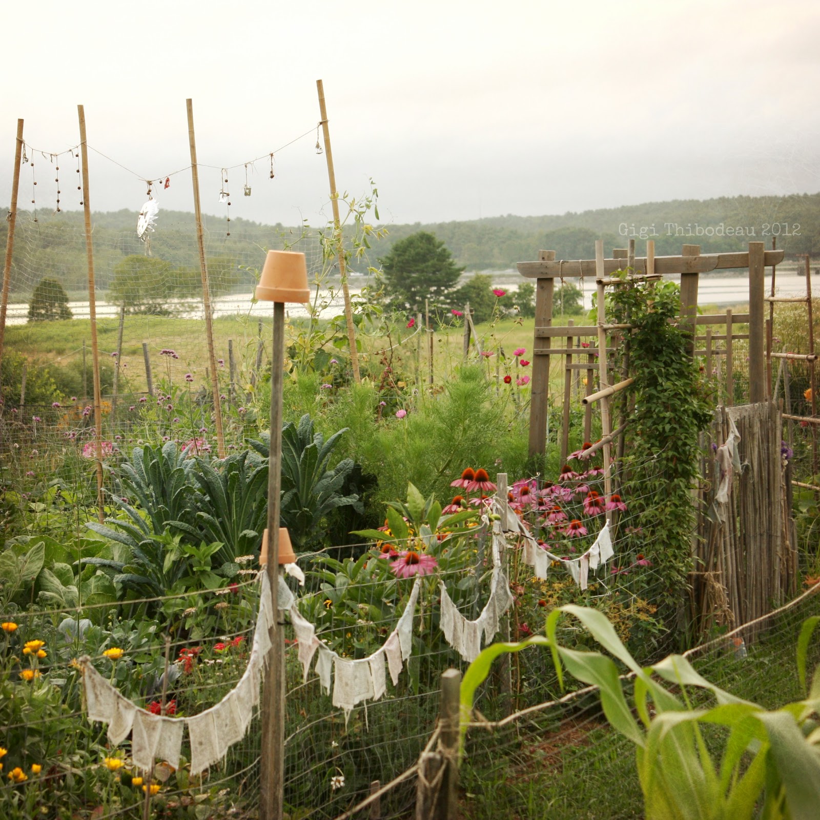 The Magpie's Fancy: Garden Inspiration