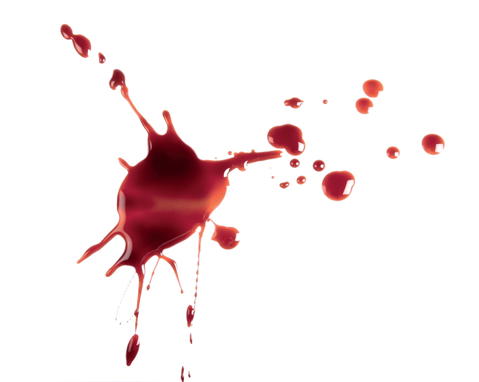 Horsing Around At Home: A few tricks I learned today on getting out ...