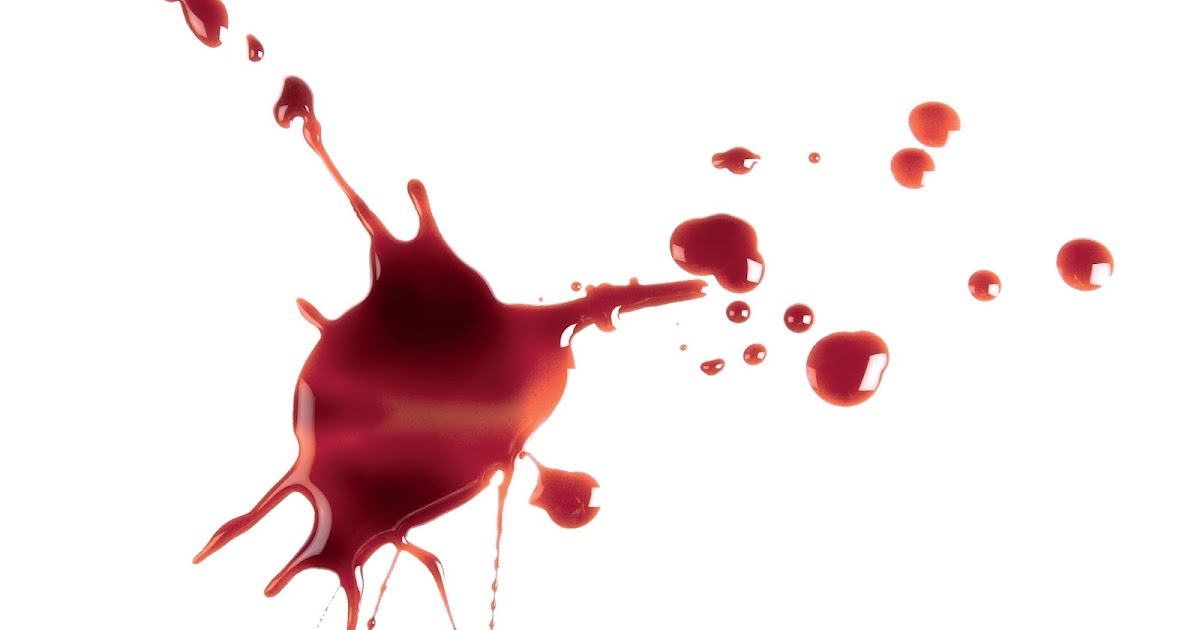 Horsing Around At Home: A few tricks I learned today on getting out ...