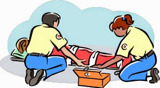 Brigadas de Emergencia: Introduccion