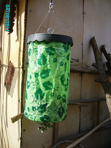 Something of a diary: Rasadul de patlagica