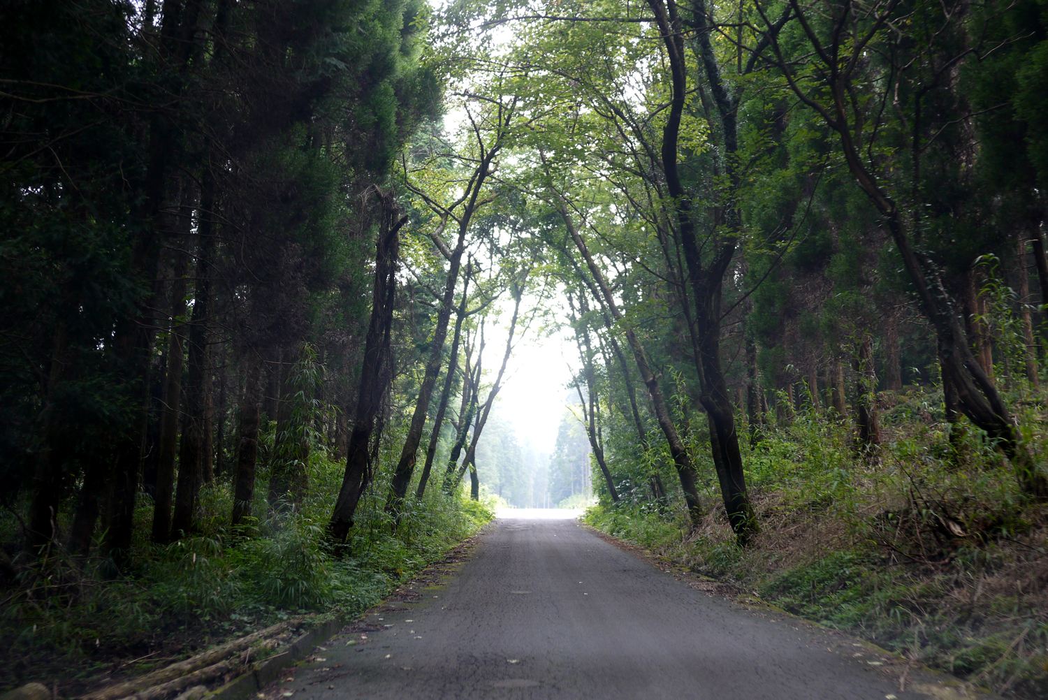 Peak Experience: Outside is Free