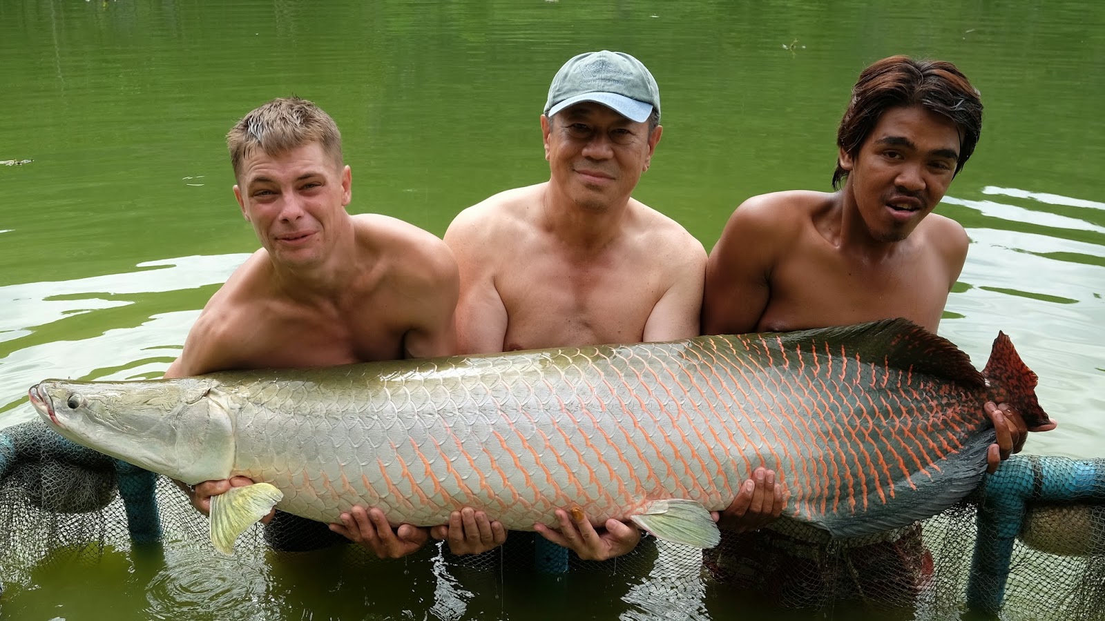 EXOTIC FISHING THAILAND: JUNE CATCH REPORT