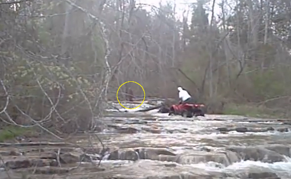 Another Look At Beast of Gum Hill ~ The Crypto Crew