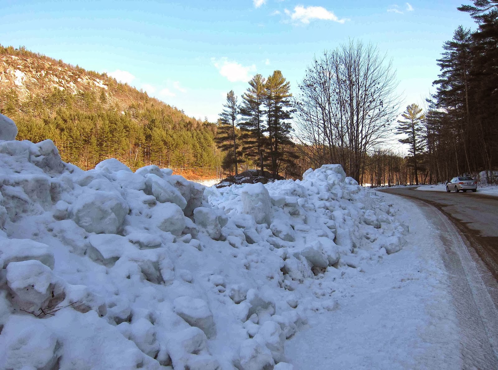 Saratoga woods and waterways: Frazil Report