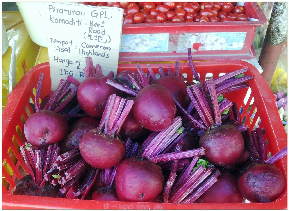 mrkumai.blogspot.com: Bit root Cameron Highlands