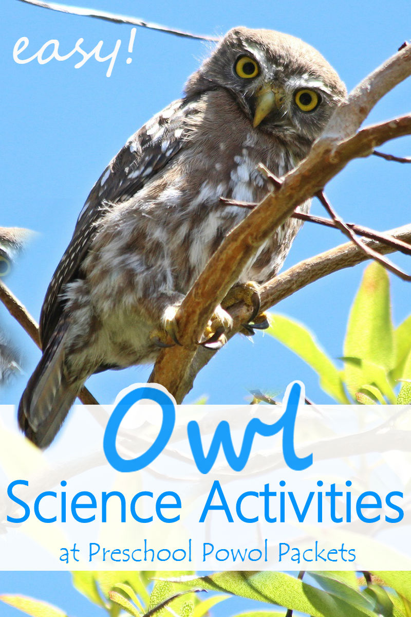 Owl Activities for a Owl Preschool Theme | Preschool Powol Packets