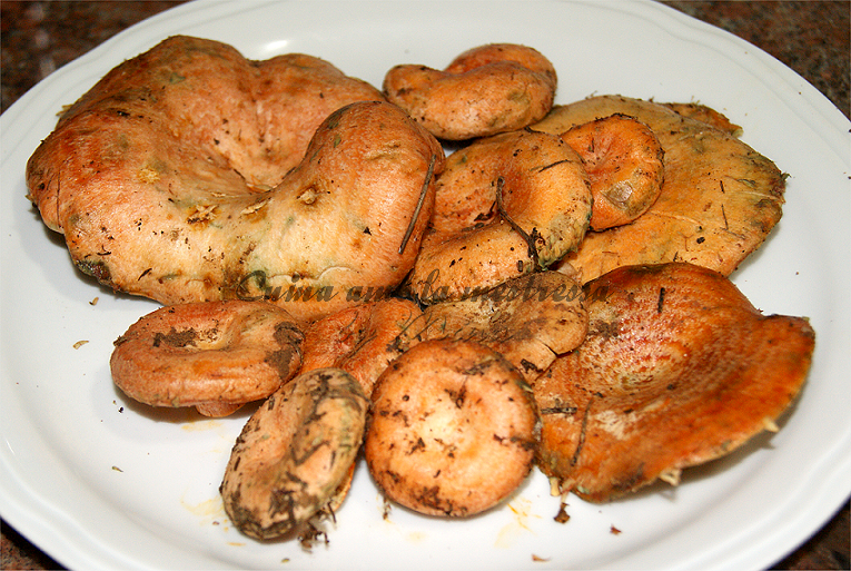 Cocina con Mina: Revuelto de rovellons y sobrasada